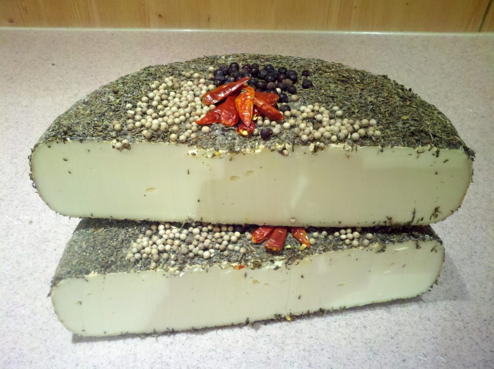 Milbenkäse aus Deutschland - Das Käseportal